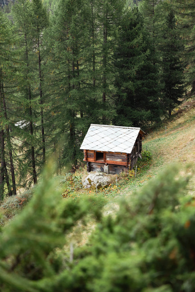 Off Grid Living: Embrace a Sustainable Lifestyle Today ...